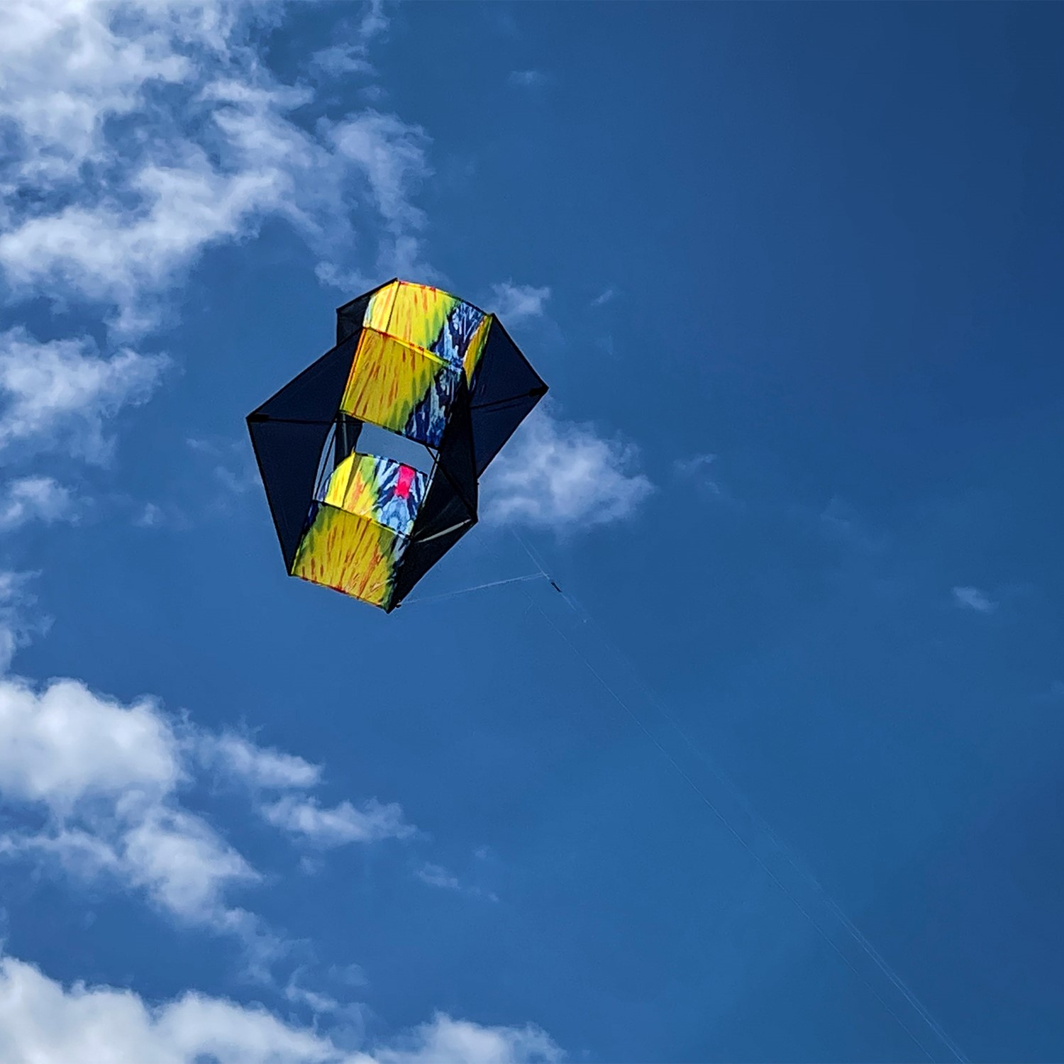Winged Box Kite